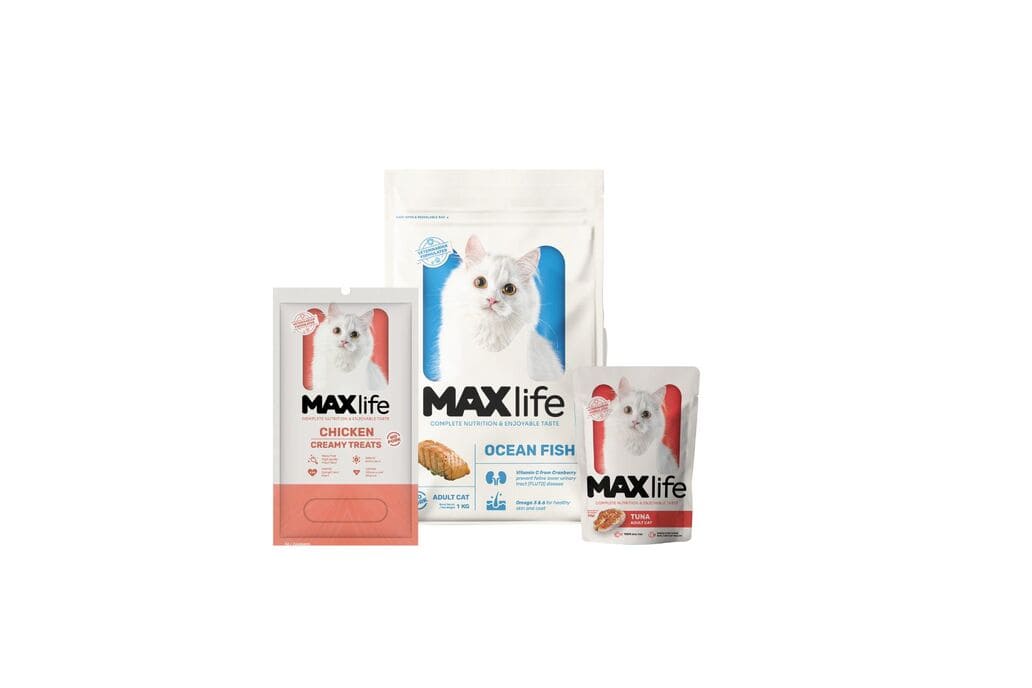 MAXlife