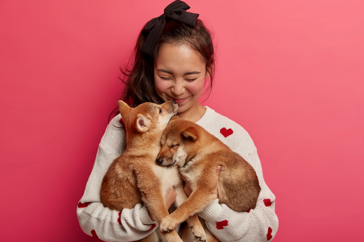 Cara Tepat Memilih Makanan Anjing dari Puppy hingga Senior